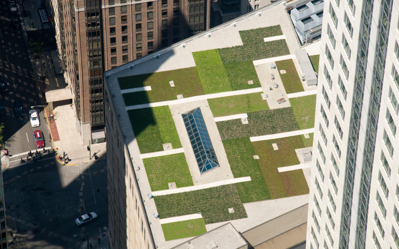 What Is Green Roofing?